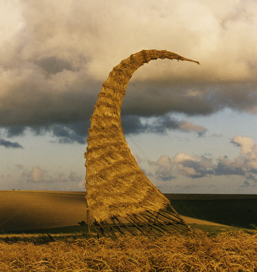 Artists Who Use Nature to Create Beauty - American Forests