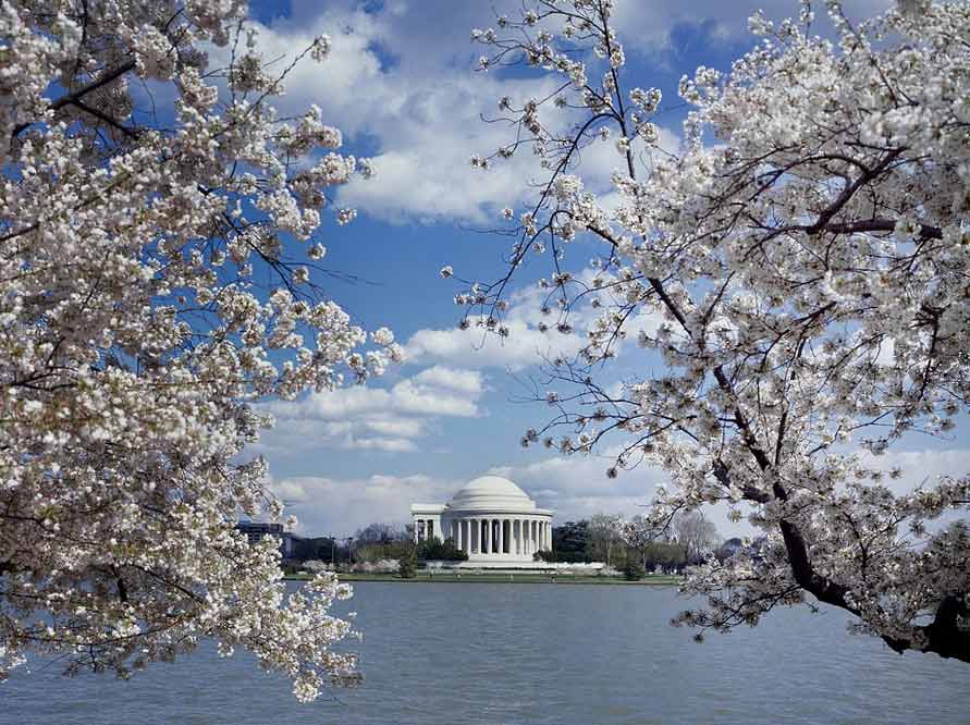 5 of the Best Things About Spring - American Forests