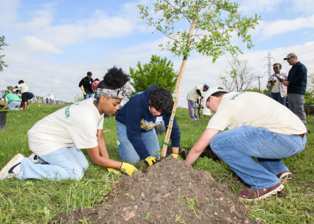 Catalyst Fund - American Forests