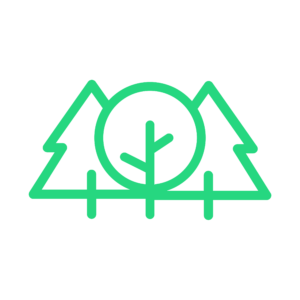 Homepage - American Forests