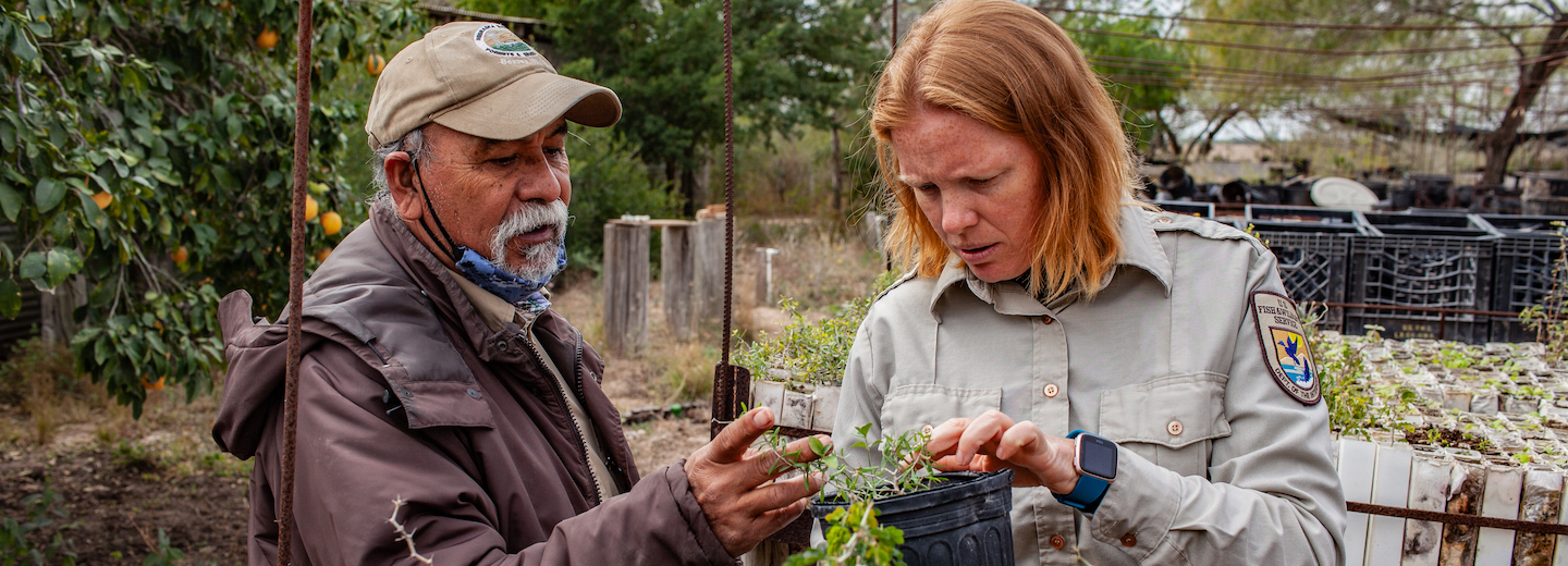 American Forests Magazine - American Forests