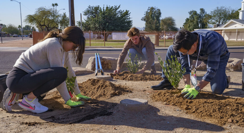 Microsoft & American Forests - American Forests