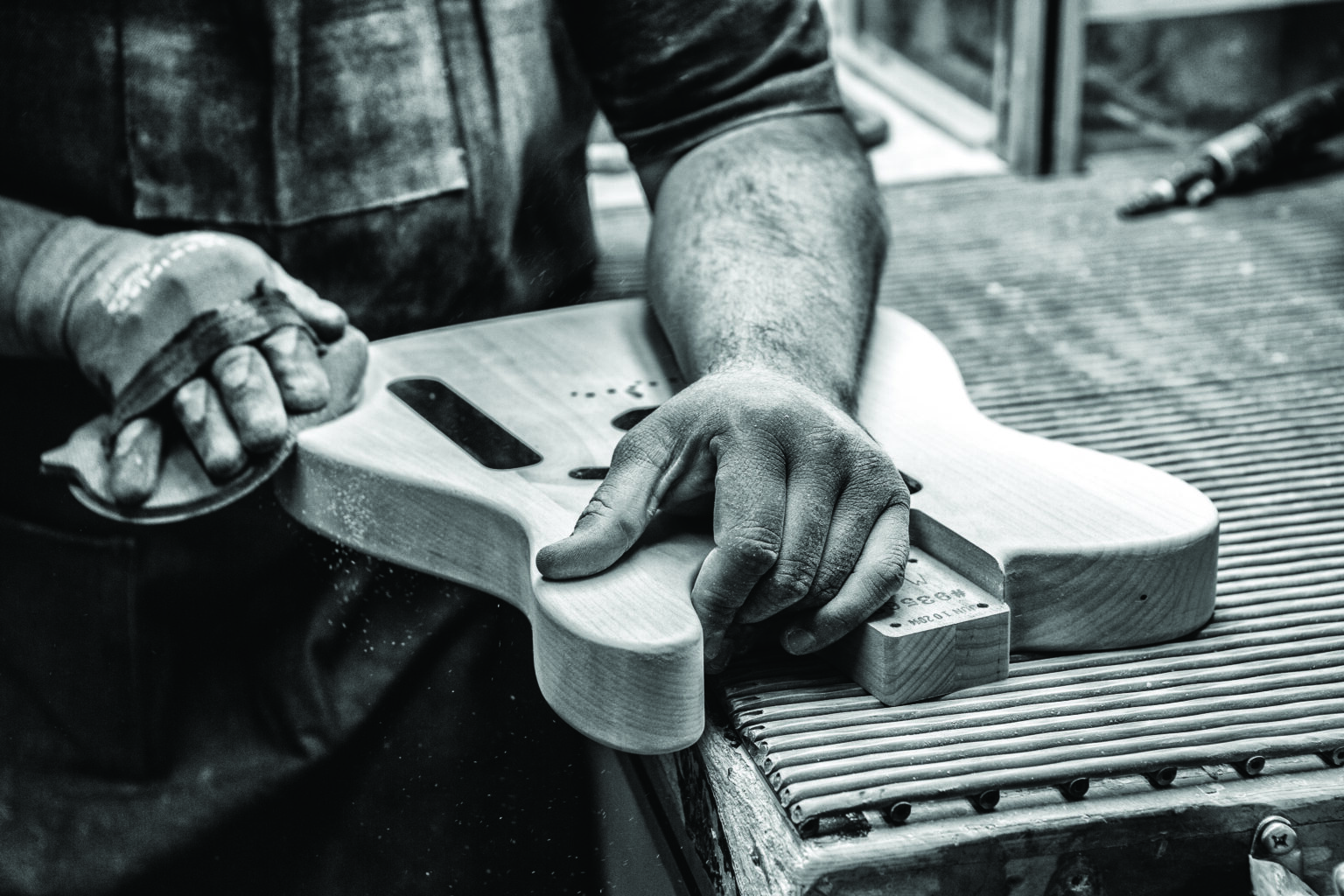 Forest Facts - American Forests