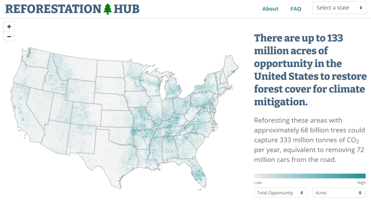 A New Tool Will Simplify Reforestation Planning - American Forests