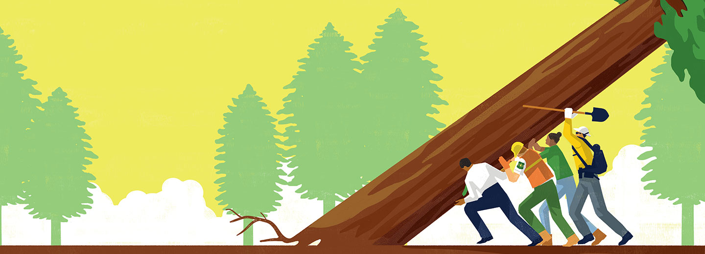 Sharing is caring - American Forests