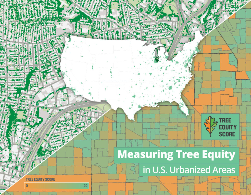 Our History - American Forests