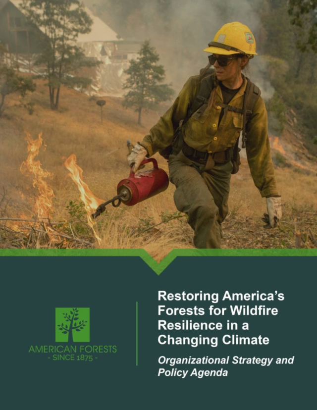 Restoring America's Forests for Wildfire Resilience in a Changing Climate - American Forests