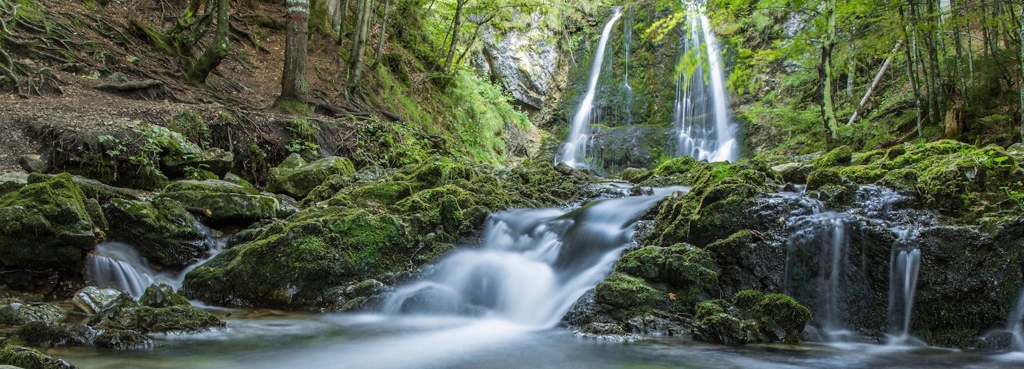 Water - American Forests