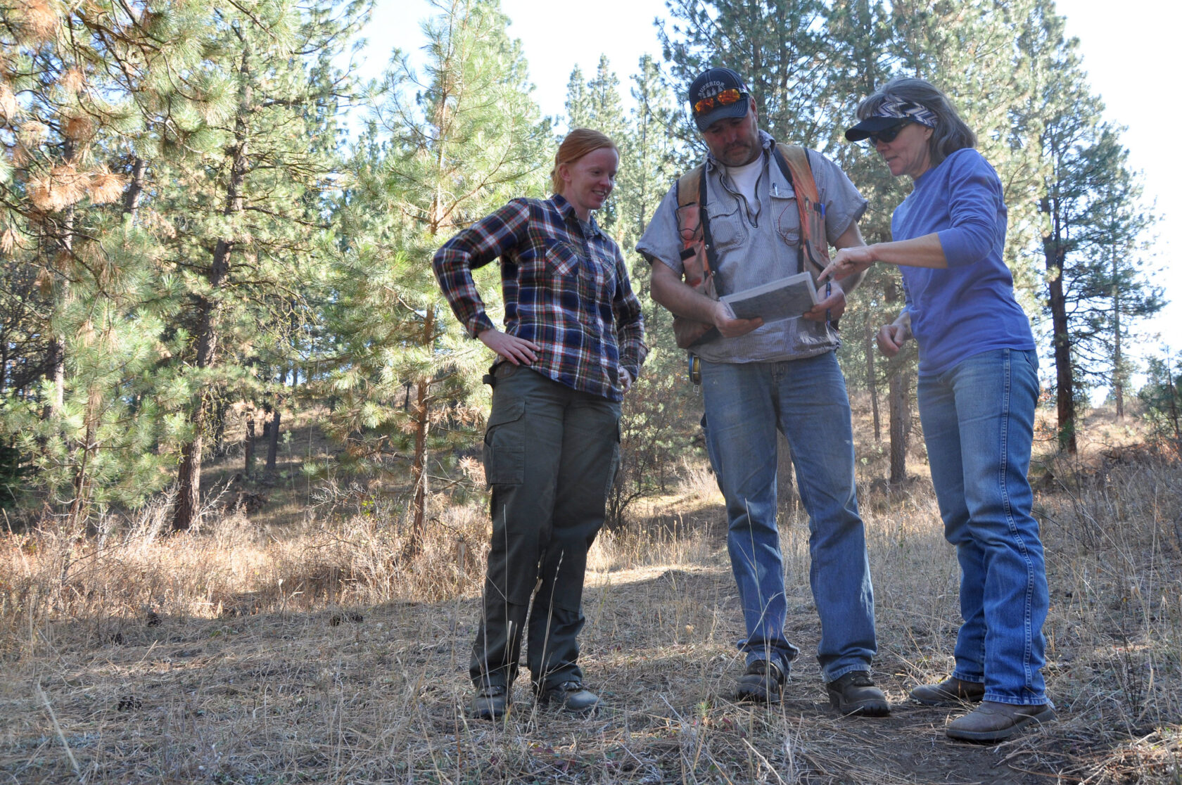 Helping Forest Landowners Lead on Climate Solutions - American Forests
