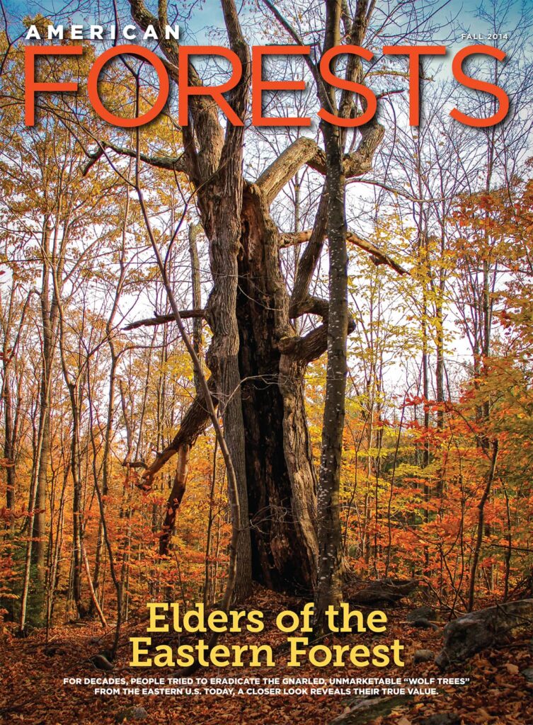 American Forests Magazine - American Forests