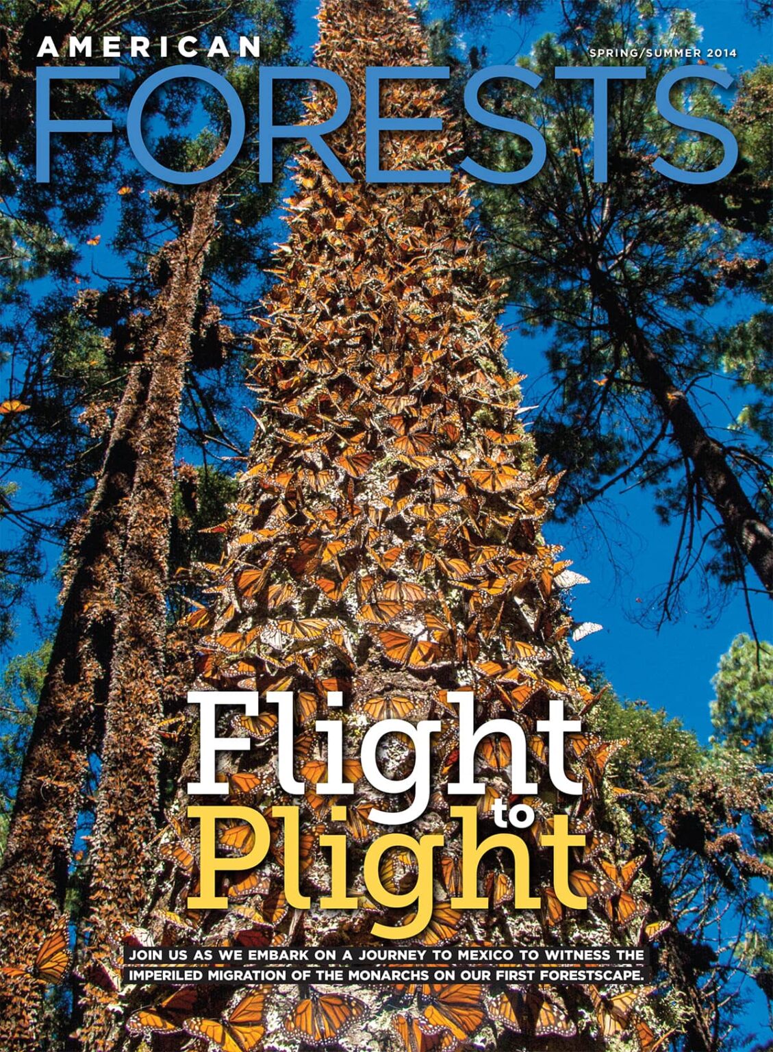 American Forests Magazine - American Forests