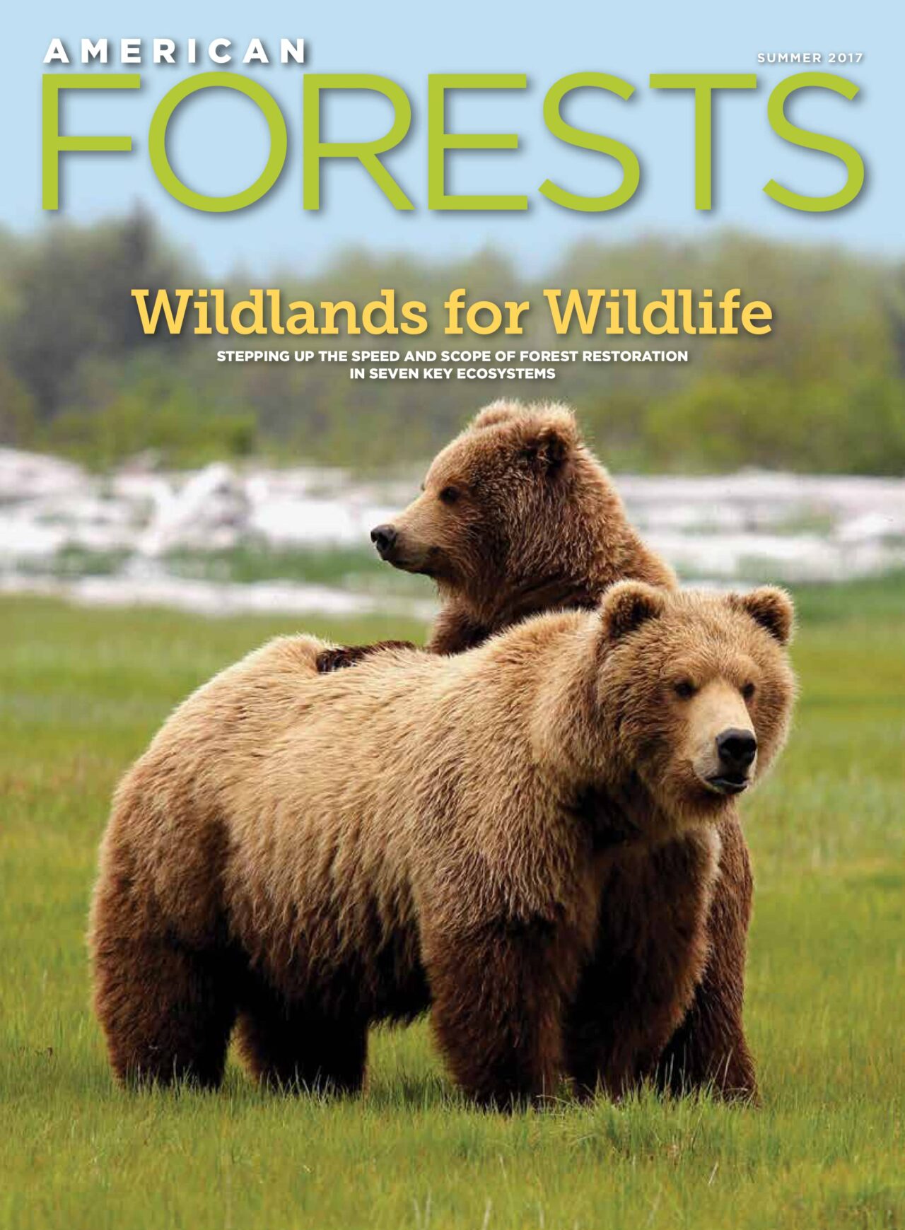 American Forests Magazine - American Forests