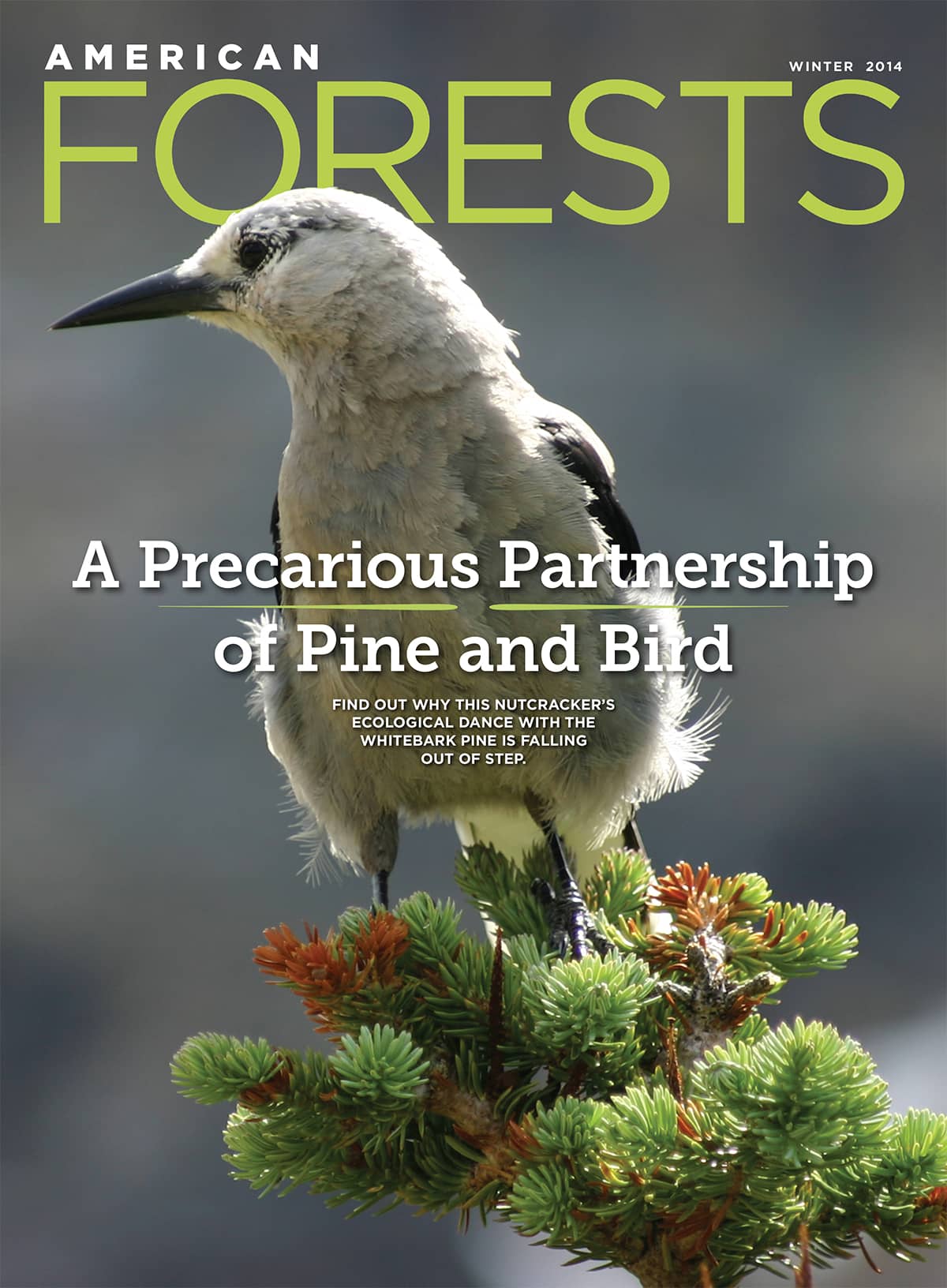 Winter 2014 Archives American Forests