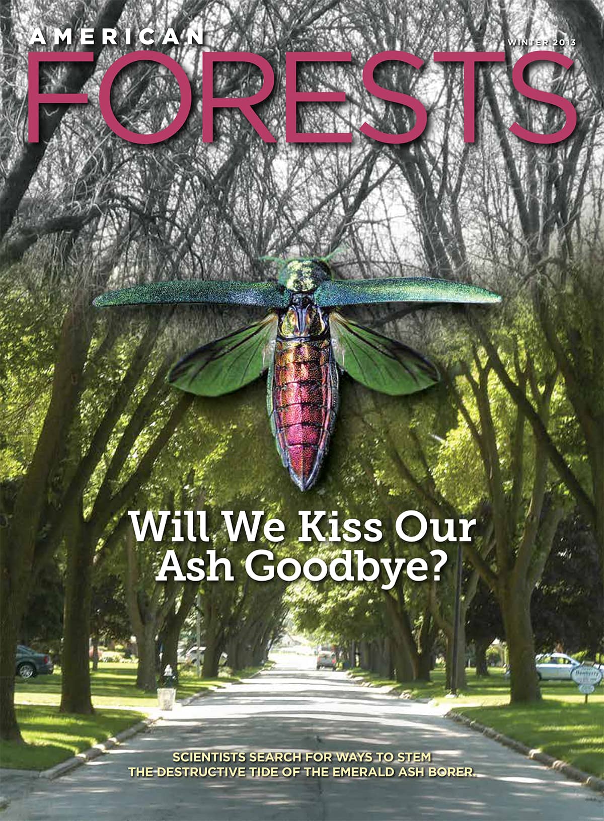 Winter 2013 Archives American Forests