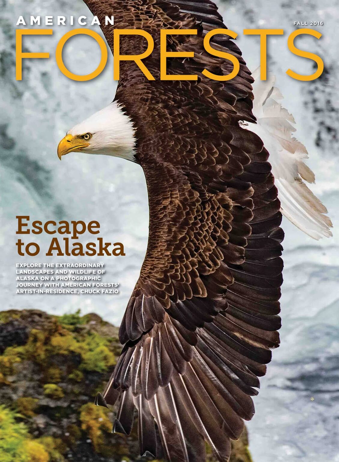 American Forests Magazine - American Forests