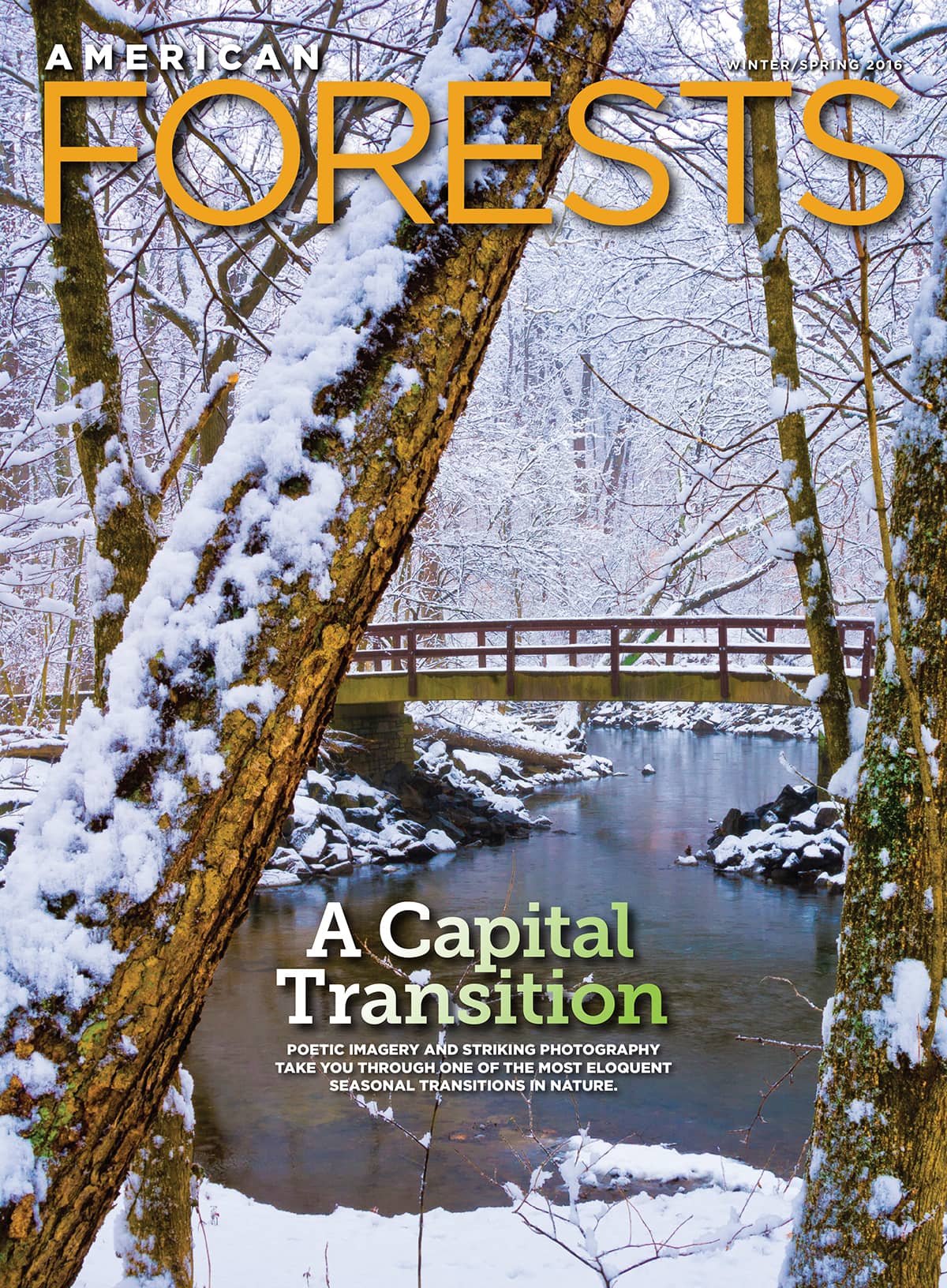 American Forests Magazine - American Forests