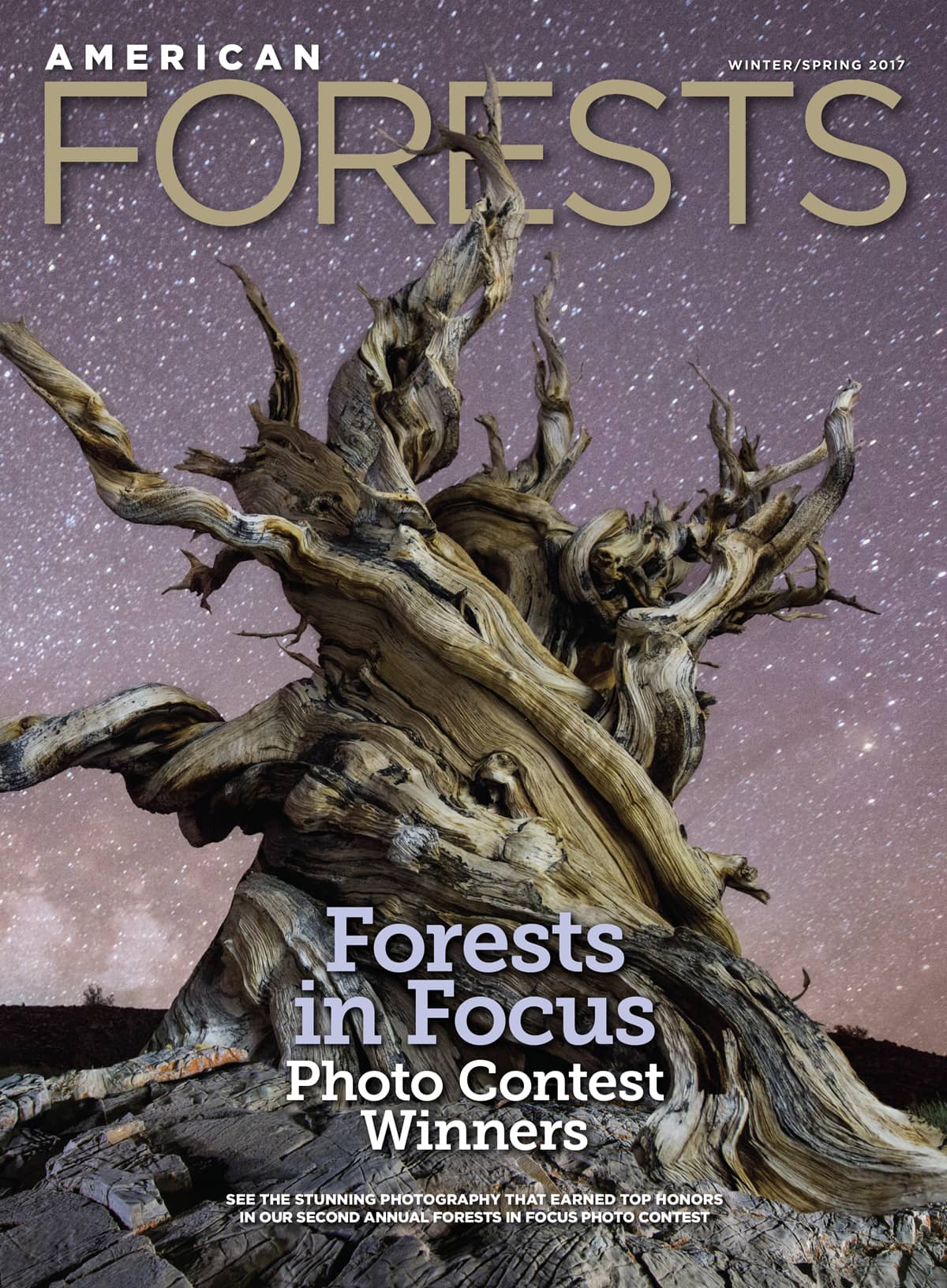 American Forests Magazine - American Forests