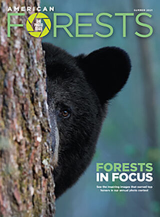 American Forests Magazine - American Forests