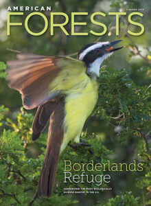 American Forests Magazine - American Forests