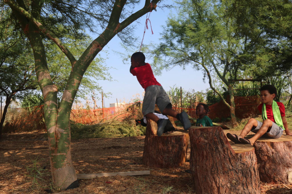 Trees are a fixture of urban life - American Forests