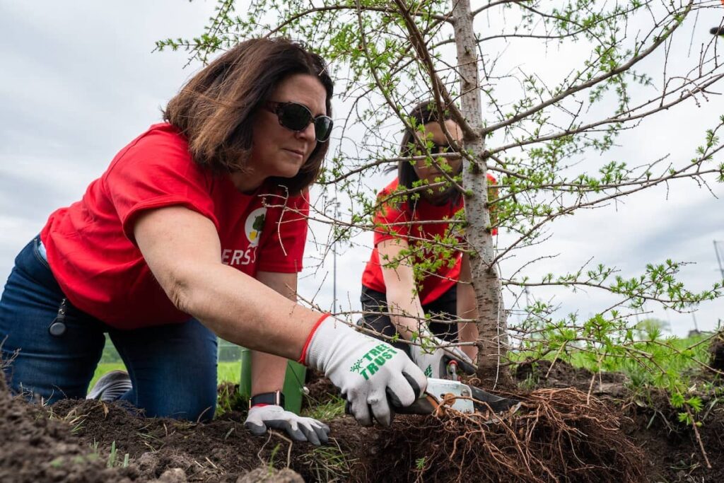 Tree Equity - American Forests