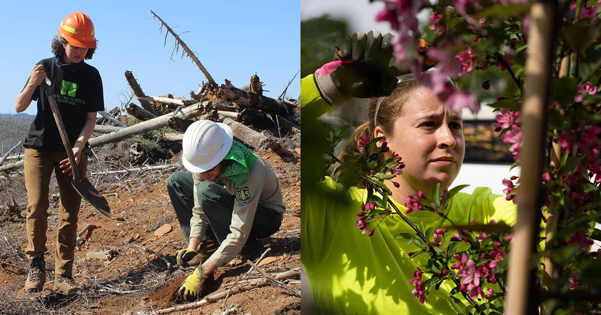 A New Day for Forestry - American Forests