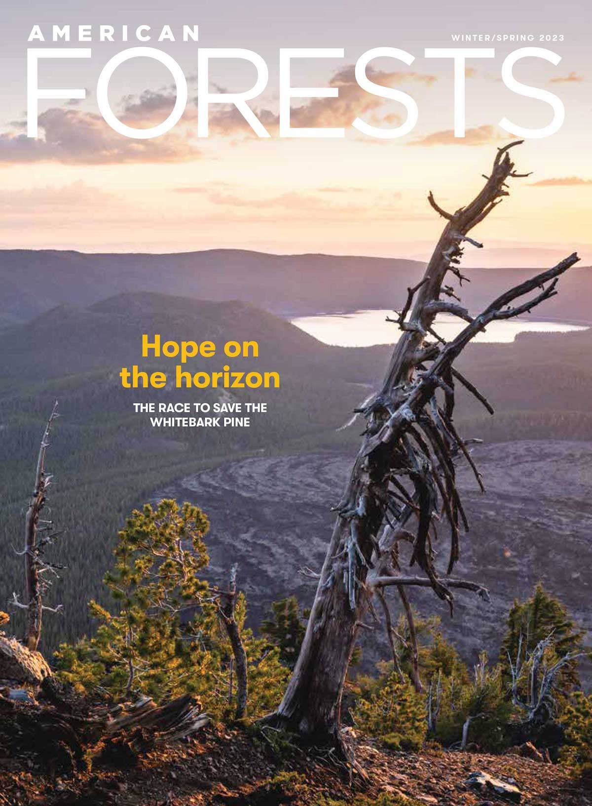 American Forests Magazine - American Forests