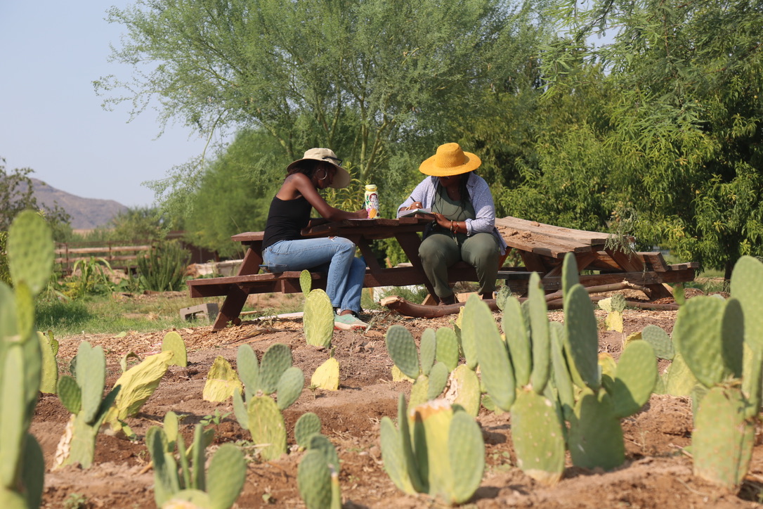 Phoenix Metro Urban Forestry Roundtable works to cool America’s hottest ...