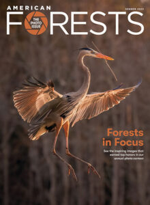 American Forests Magazine - American Forests