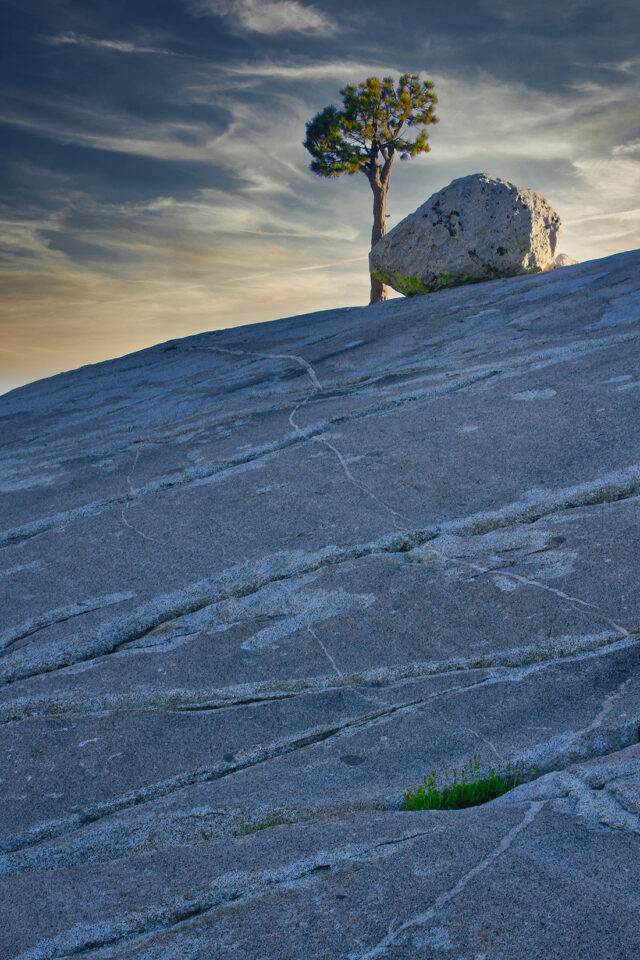 Last Look: 2023 Forests in Focus People's Choice - American Forests