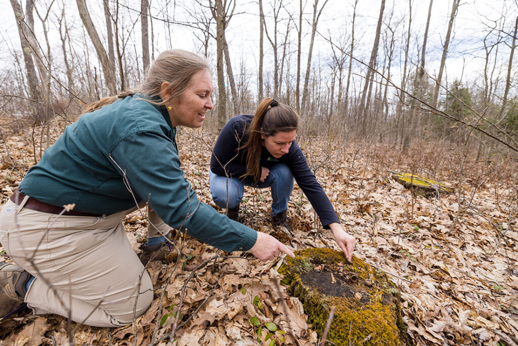 Modeling a climate-smart future - American Forests