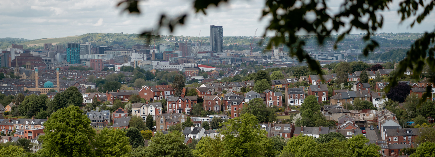 Urban Forestry Technical Assistance American Forests