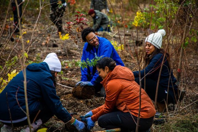 Four ways to love trees back this Earth Month - American Forests