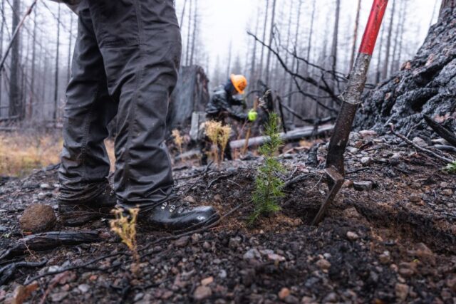 A new era of leadership - American Forests