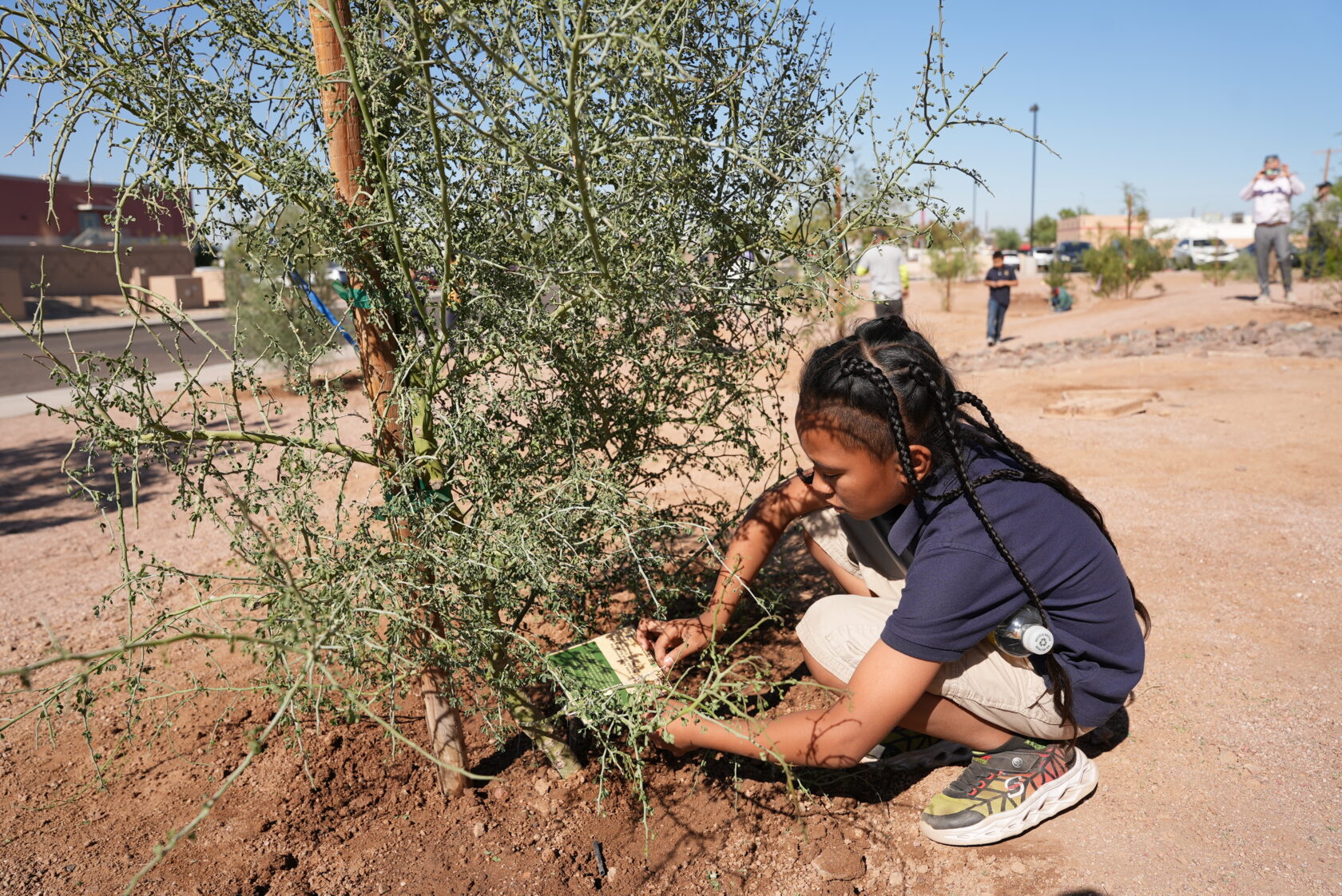Phoenix Metro Urban Forestry Roundtable works to cool America’s hottest ...