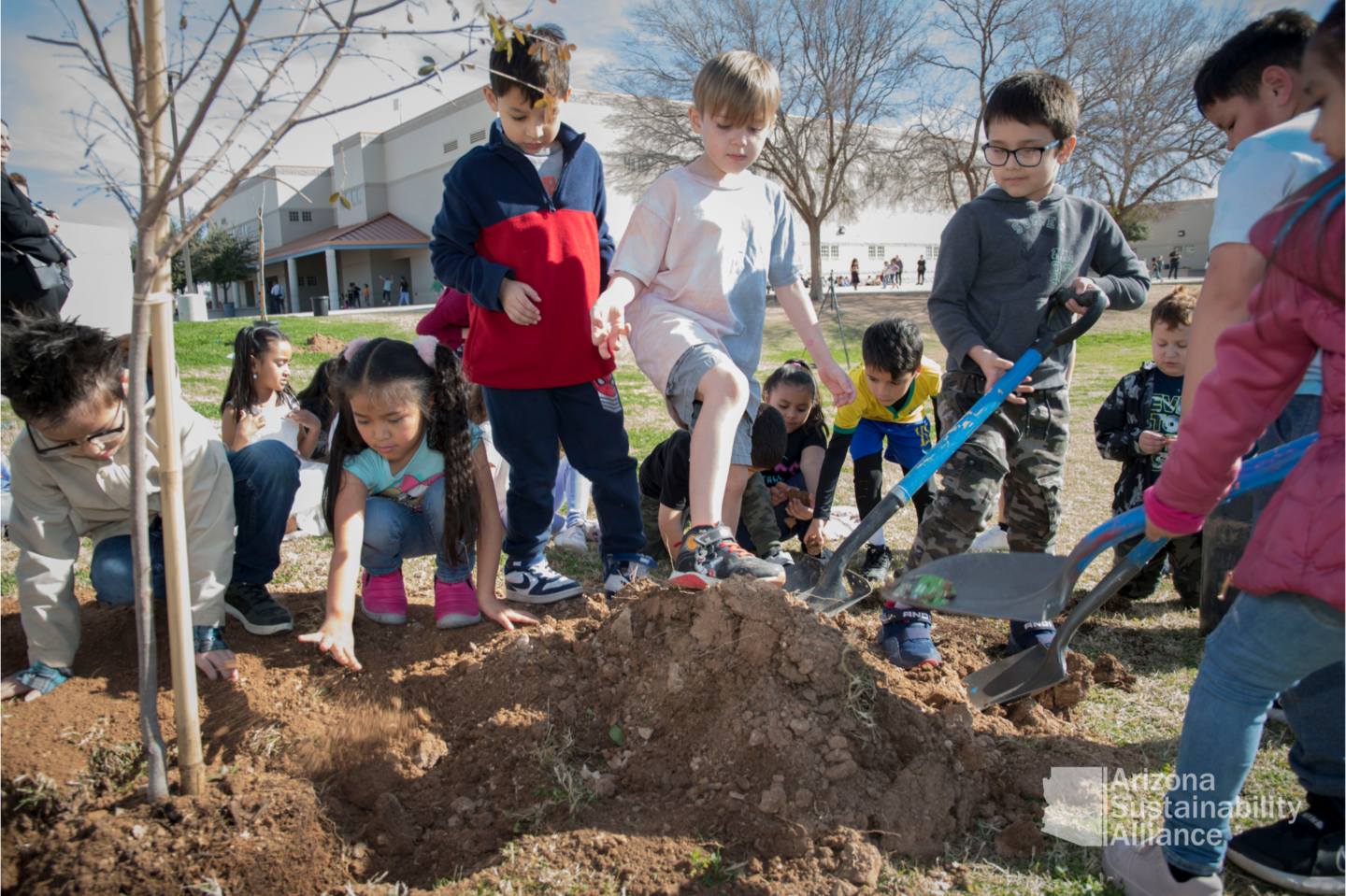 Phoenix Metro Urban Forestry Roundtable works to cool America’s hottest ...