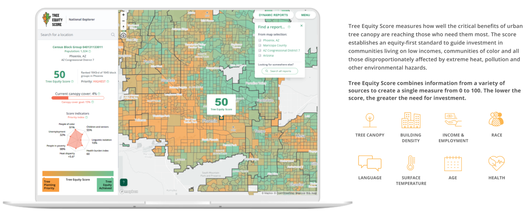From startup to global model: Tree Equity Score celebrates 3 years of ...