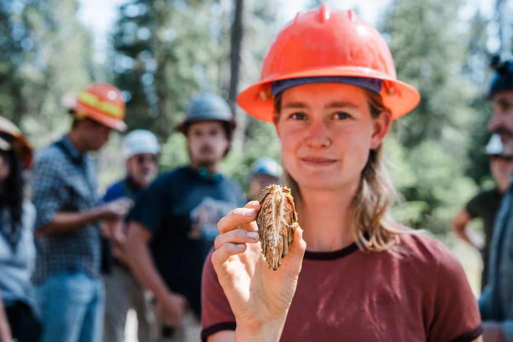 The camp that’s training a new generation of cone collectors - American ...