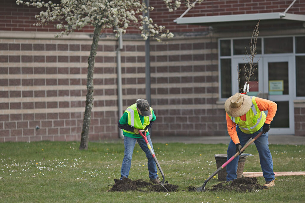 The need for Tree Equity is heating up - American Forests