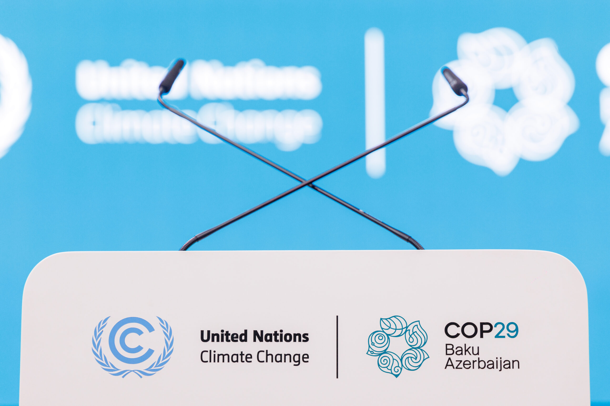 What a win for forests looks like at COP29: A path to global climate ...