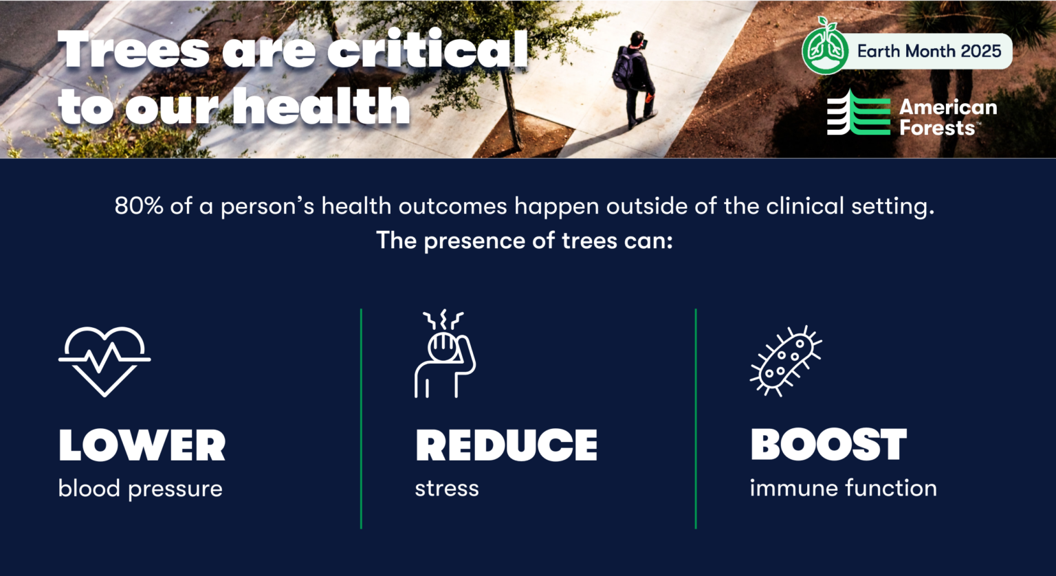 A life-saving infrastructure: Why trees are critical to our health ...