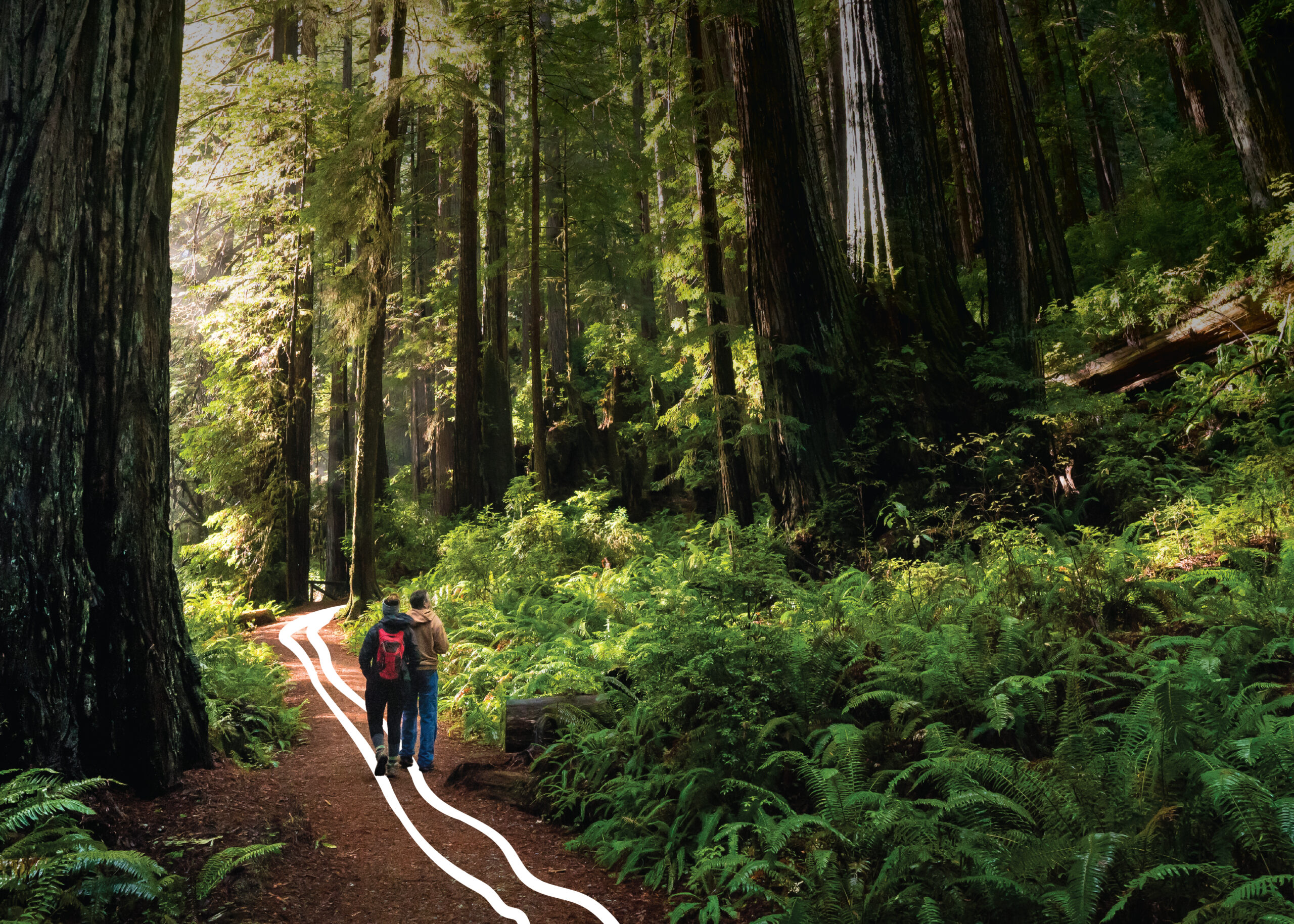 Homepage - American Forests