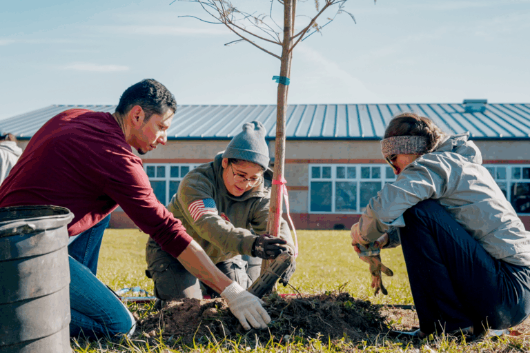 For all of us: 4 important things trees do for people - American Forests