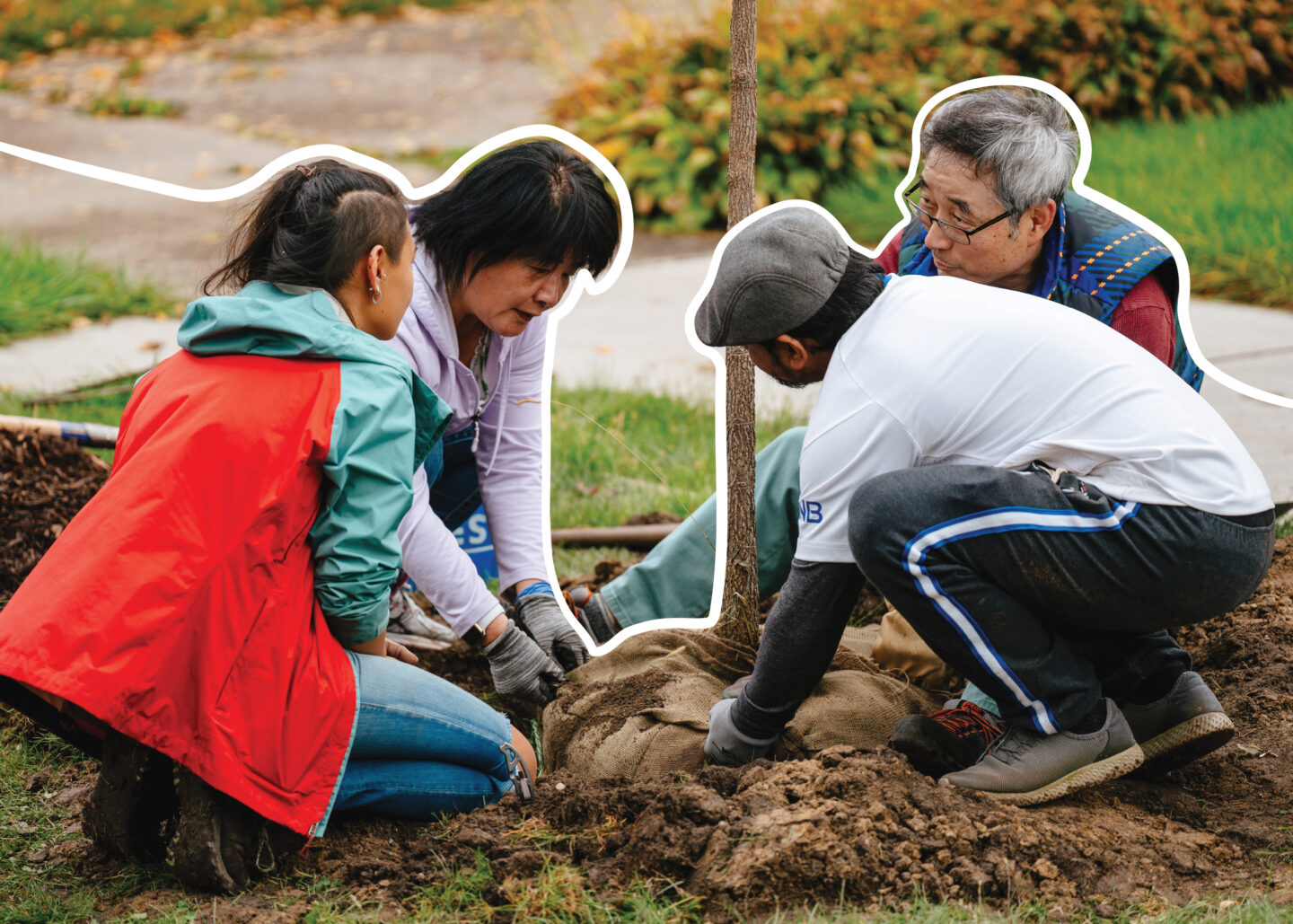 For all of us: 4 important things trees do for people - American Forests