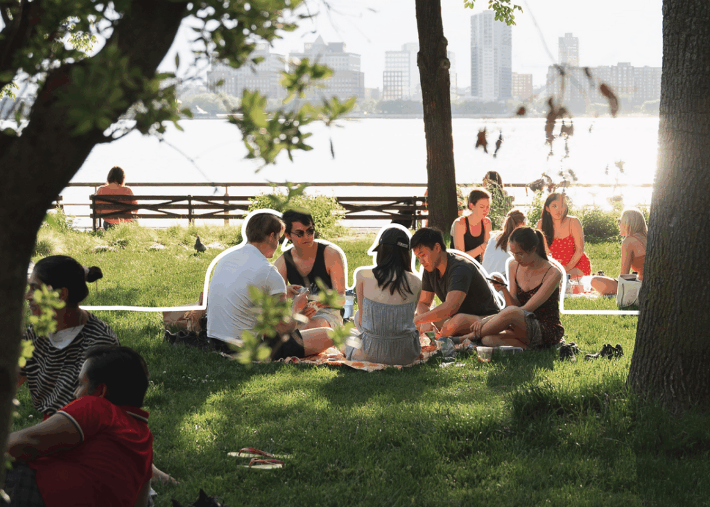 Homepage American Forests